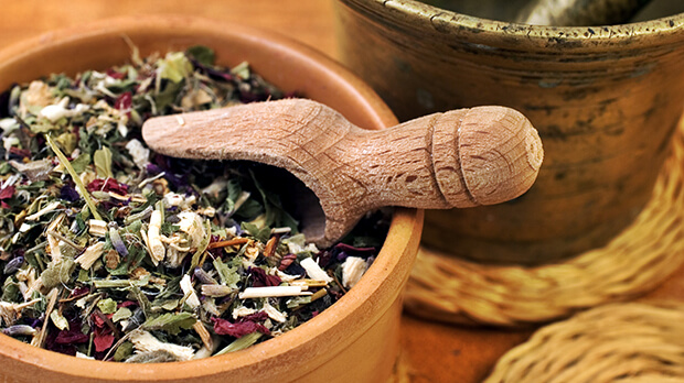 Galanthamine Herb - Uses And Side Effects